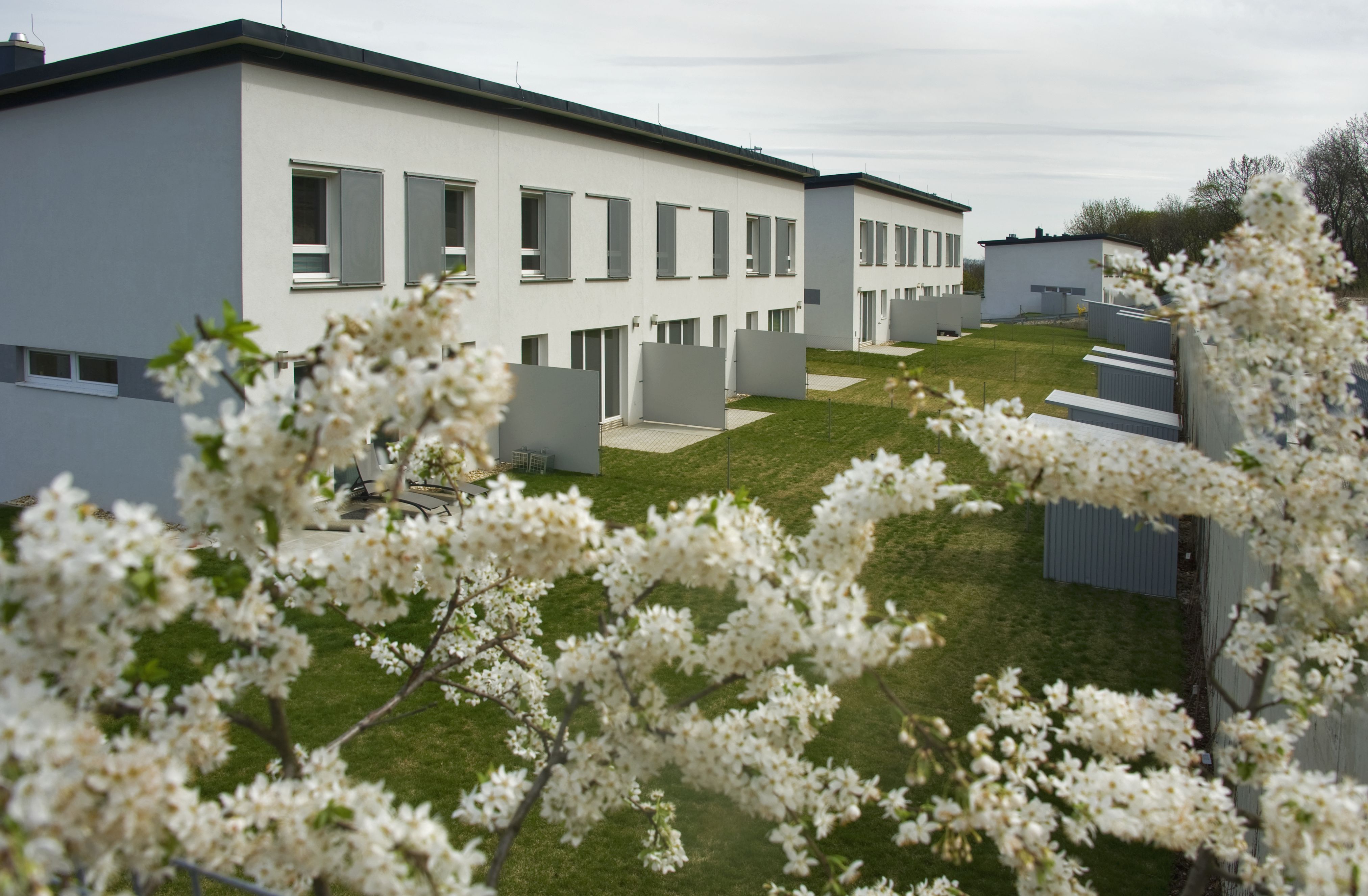 2412 Wolfsthal - Wien-Süd